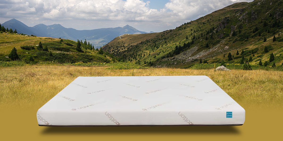 Custom Car Mattresses for Sale | Free Shipping | Made in the USA